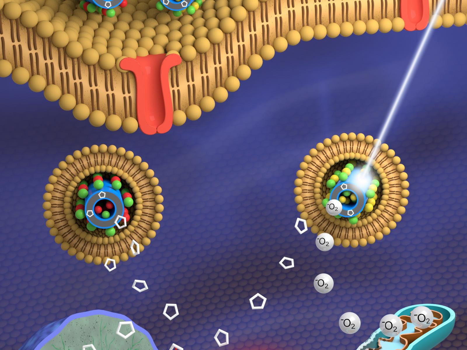 New Nanotube Drug Delivery Shows Promise | News Release | PNNL